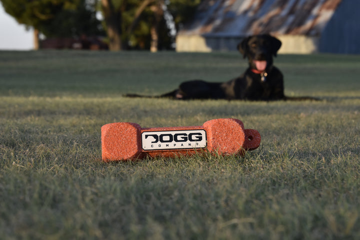 Dogg company makes rotomolded dog kennels and dog products. – Dogg Company