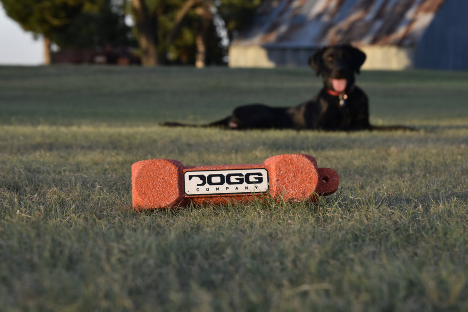 Dogg company makes rotomolded dog kennels and dog products. – Dogg Company