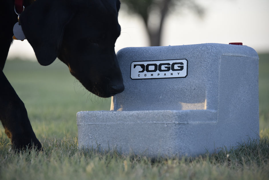 Dogg company makes rotomolded dog kennels and dog products. – Dogg Company